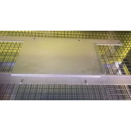 Cage cailles économique