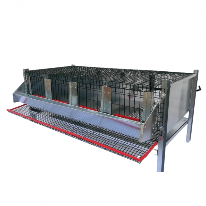 Upgrade Your Quail Farming with the Ultimate 4-in-1 Breeding Cage!