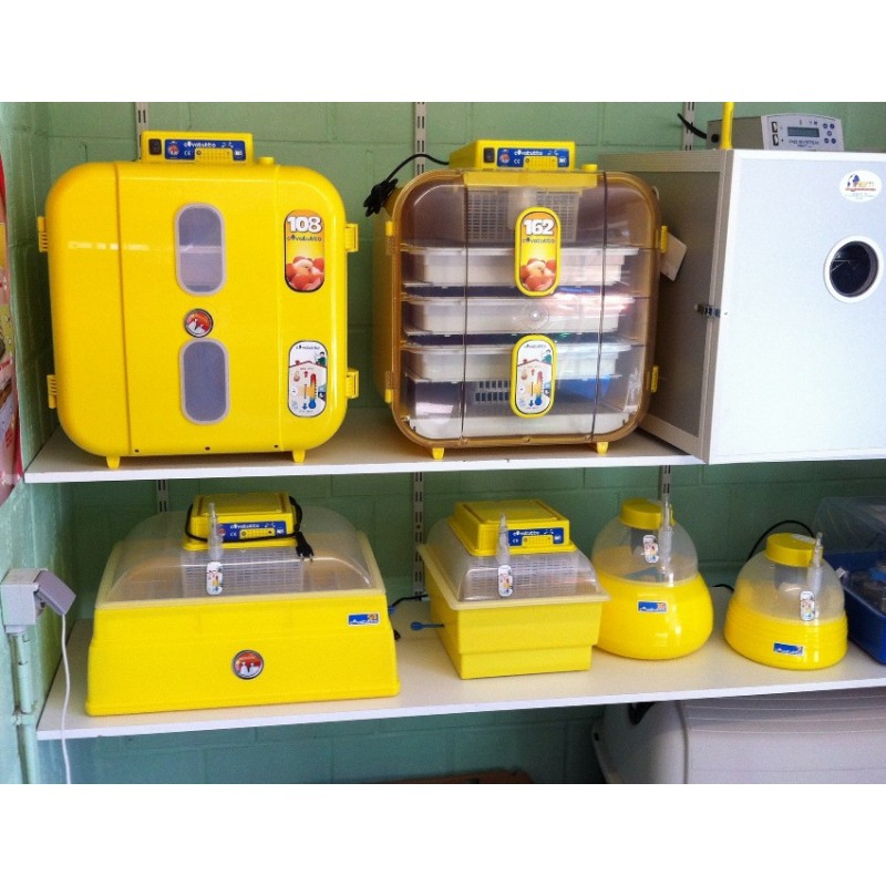 The Novital Covatutto 162 Automatic Incubator