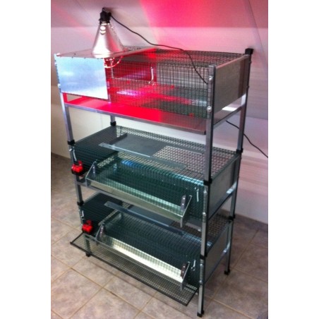 Cage caille professionnel