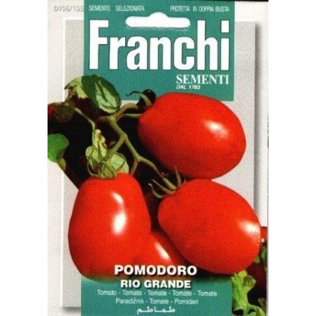 Tomate-Pomodoro rio grande